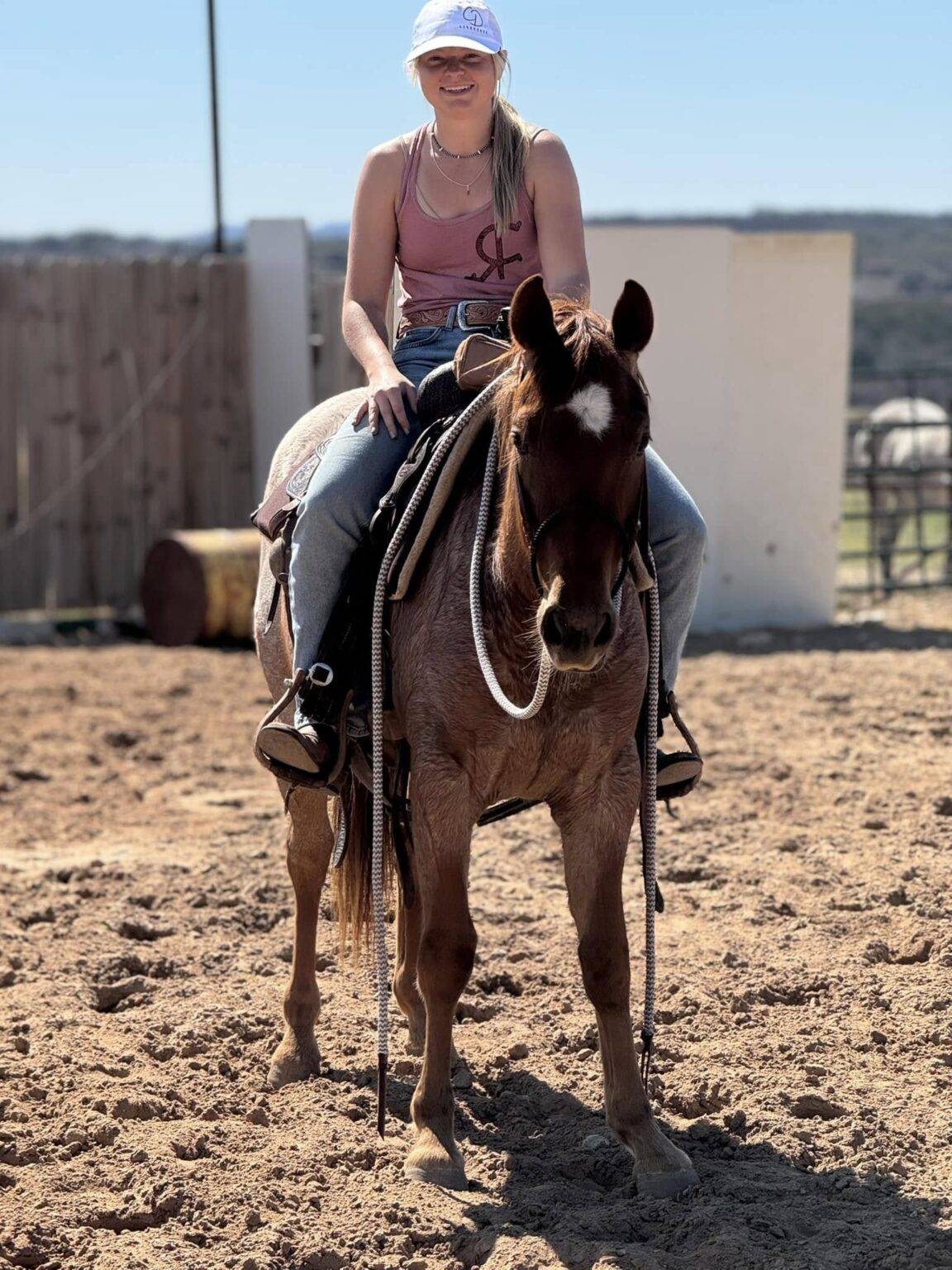 About McMullin Ranch | Texas Ranch Horses